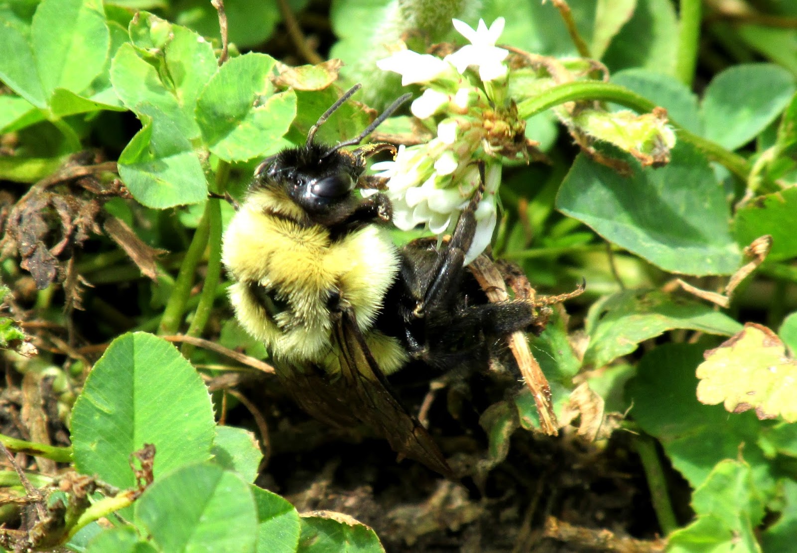 The View From My Front Porch