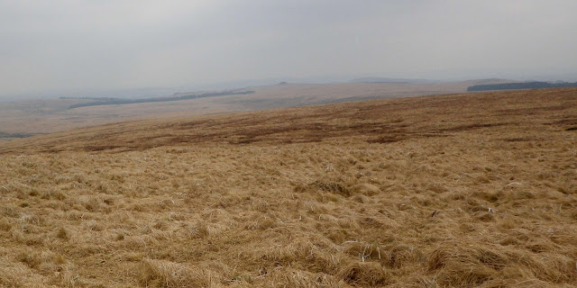 My Dartmoor Walks: Tuesday 26th March Cranmere Pool