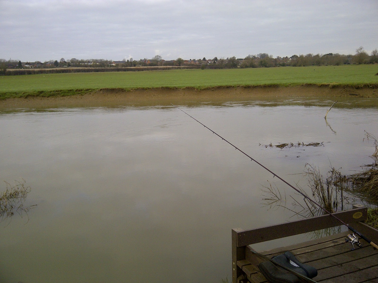 James' Angling Adventures.: River Great Ouse Chub fishing