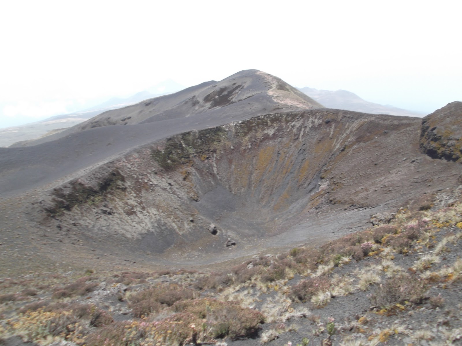 Les abricotiers: Mont Cameroun, Mont Fako (4095m).