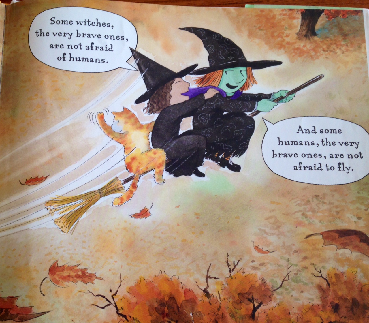 Everything Children's Literature: A Very Brave Witch