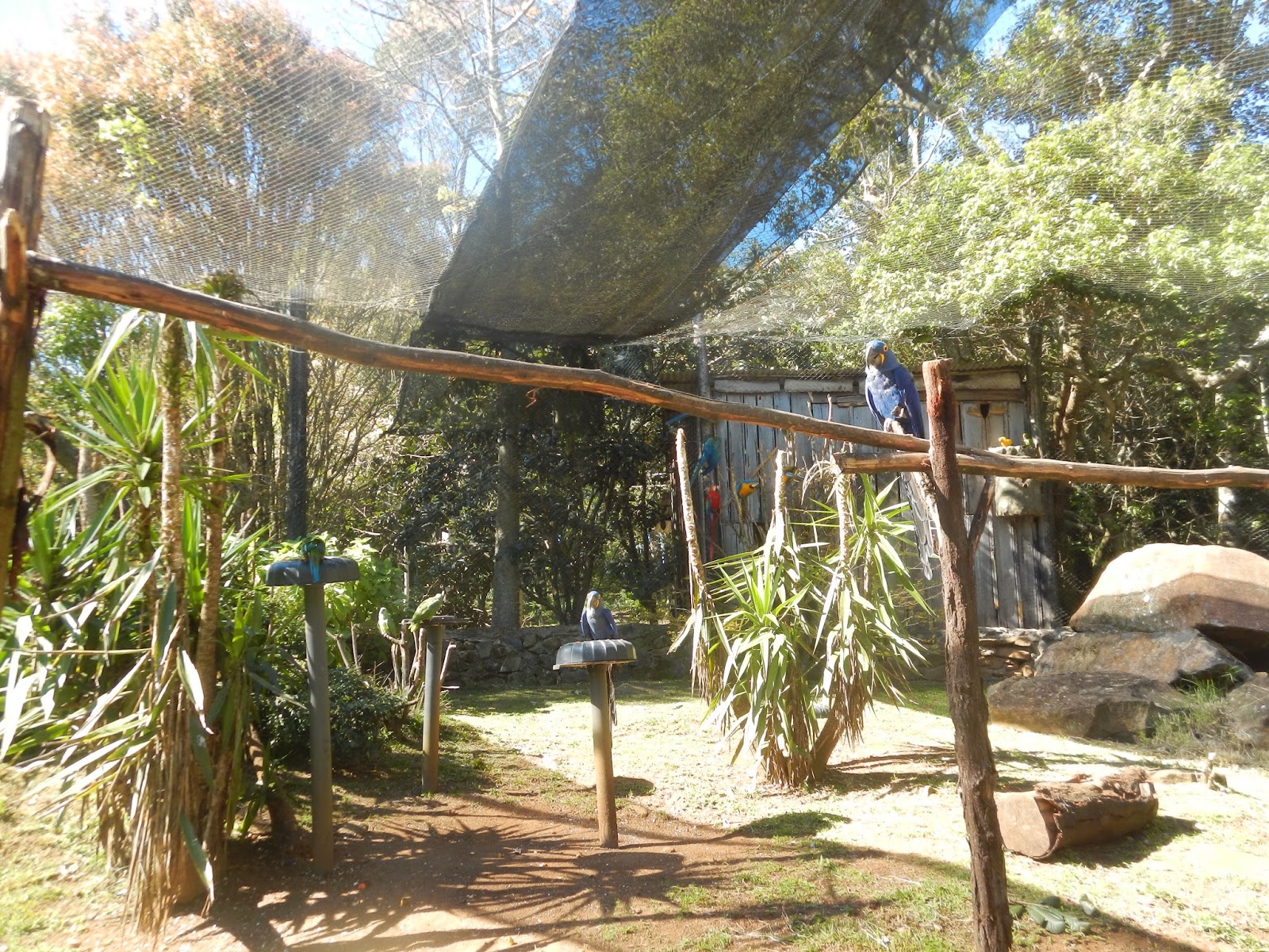 Pra lá que eu fui: Gramado zoo e Parque Gaúcho. Passeio com crianças.