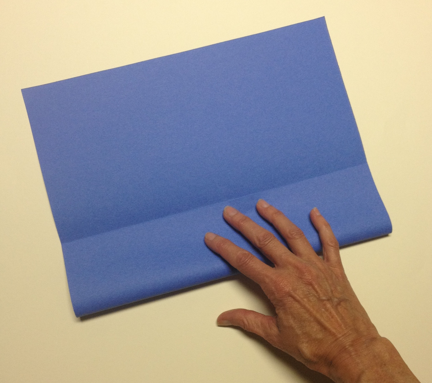 wishi washi studio: Snake Book