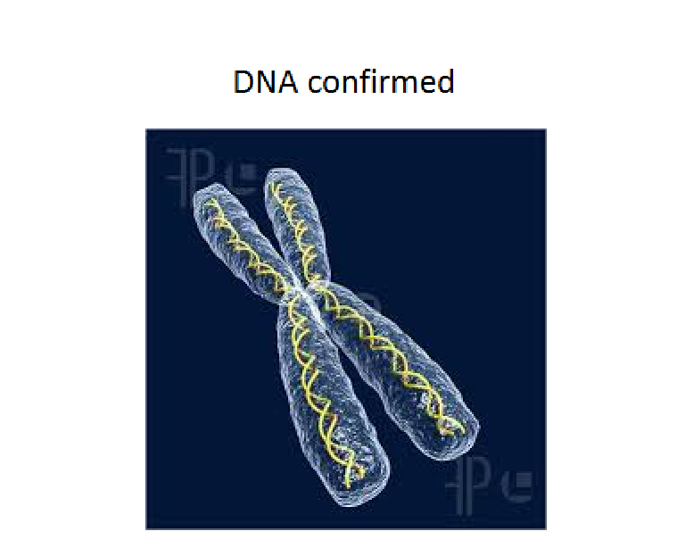 Ancestral DNA explained