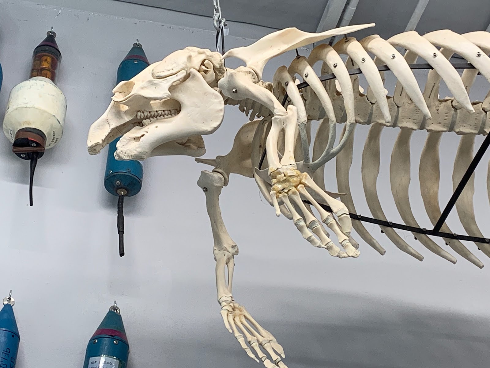 Things we did today...: August 2019