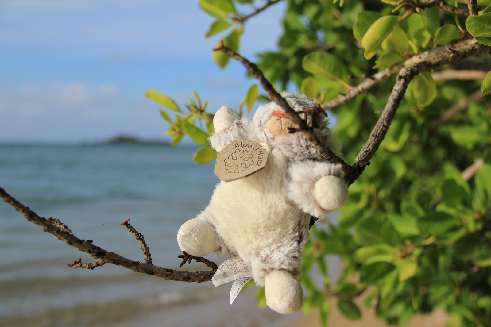 Voyage en Nouvelle Calédonie: Poum Poum Poum