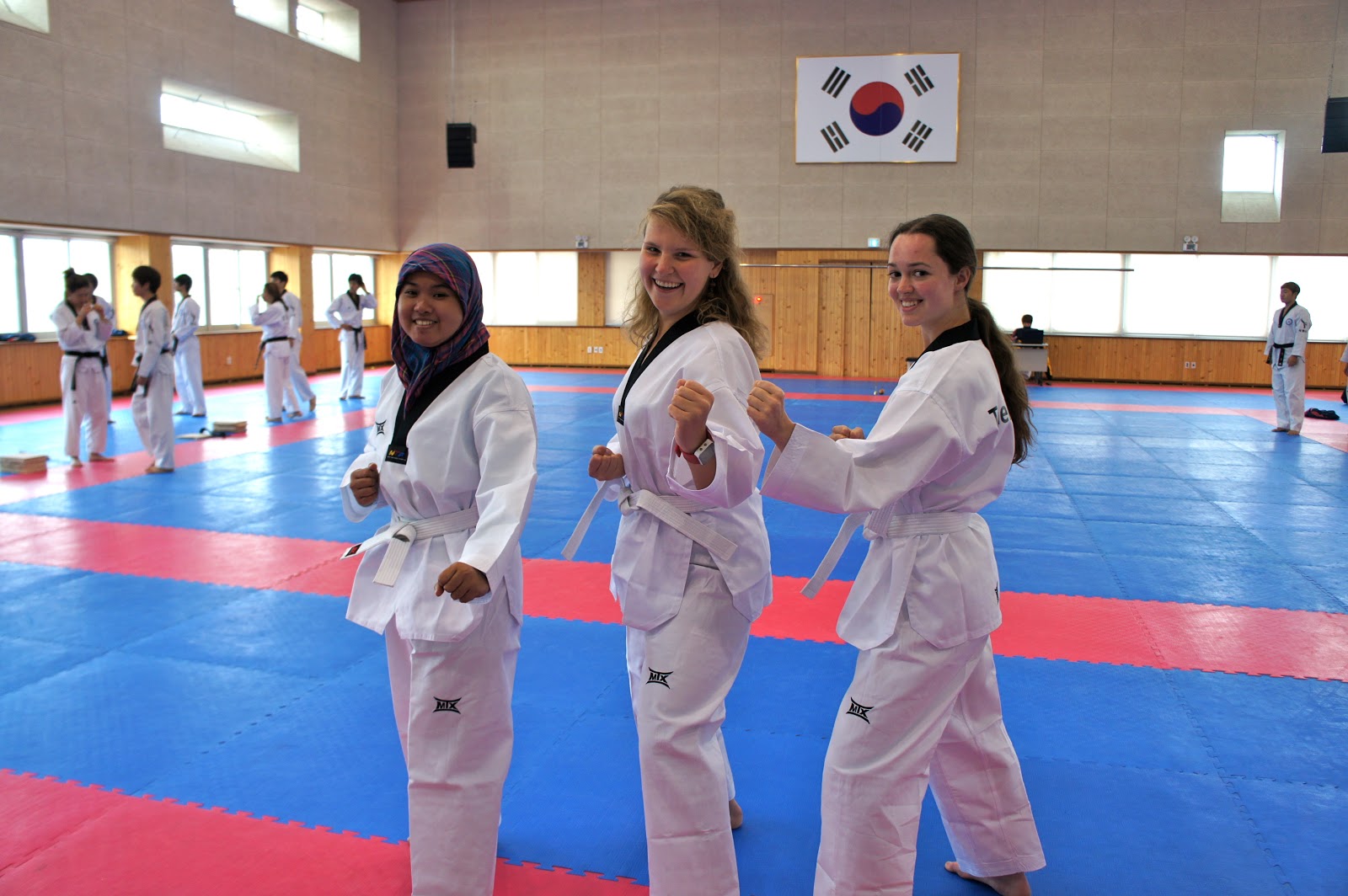 Muju Taekwondowon Promotion Tour! - Vikingess Voyages