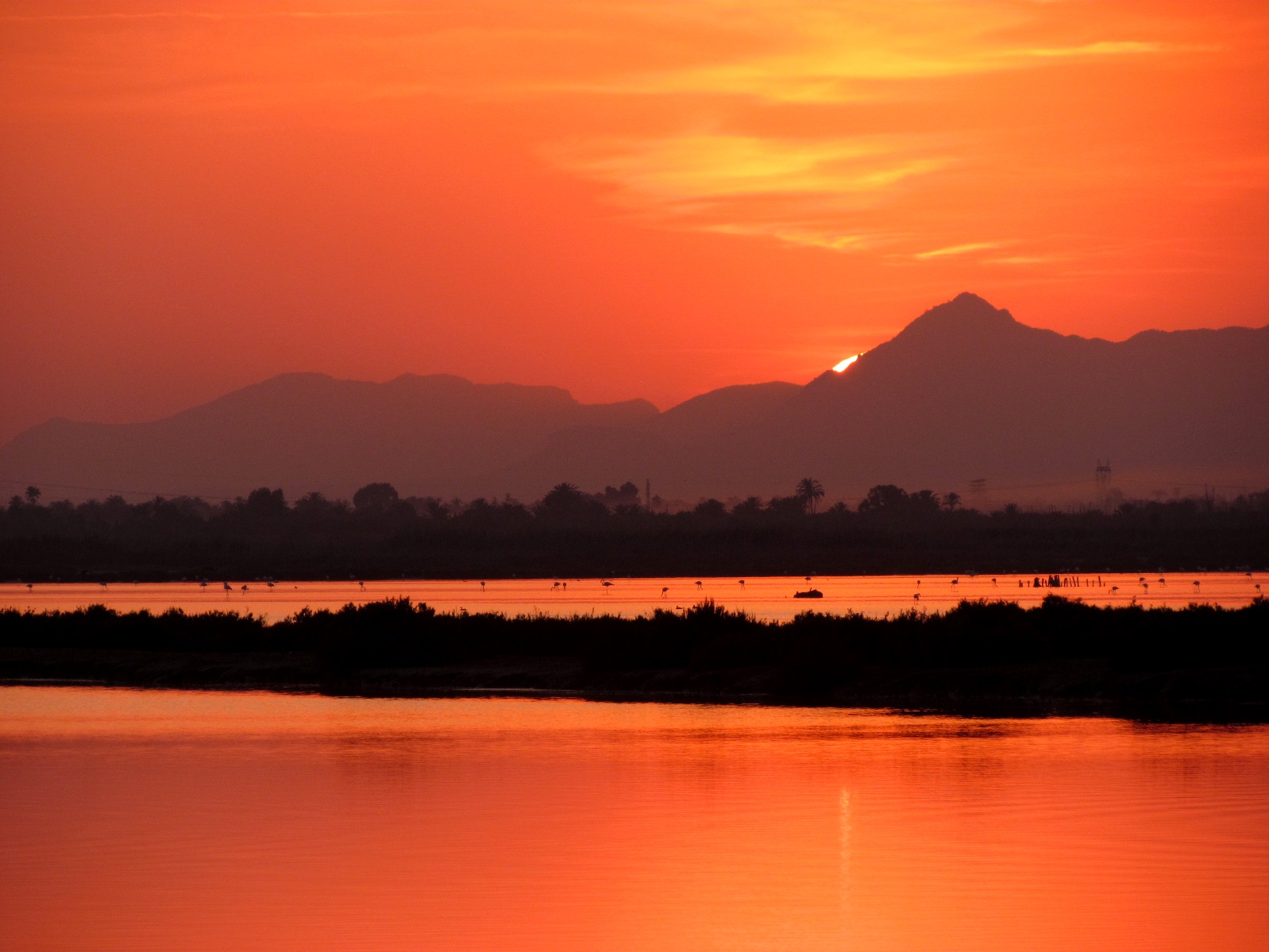 REFLEXIONES: Del Alba al Ocaso: Vivencias