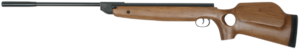 AIR RIFLES AND SHOOTING: XS B26-2 .22