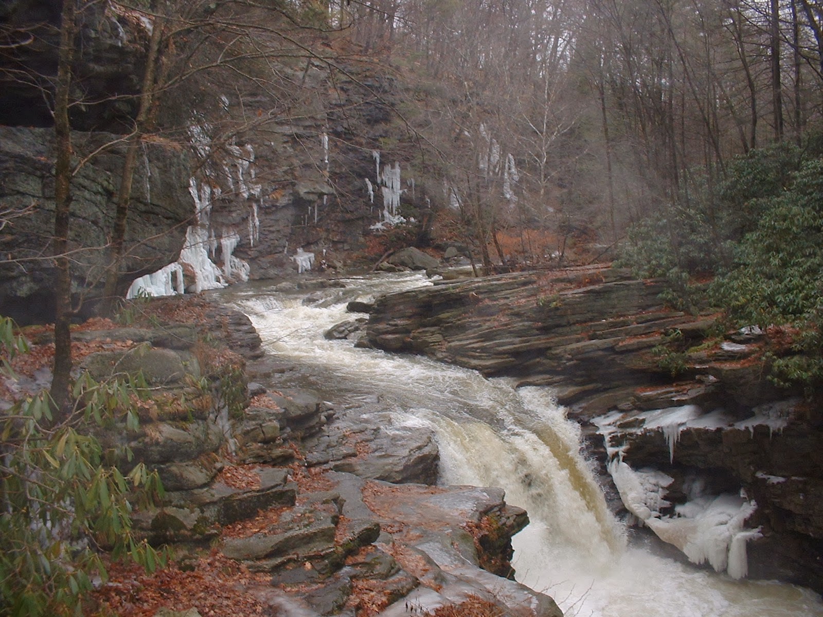 Frank's Place: Roaring Brook