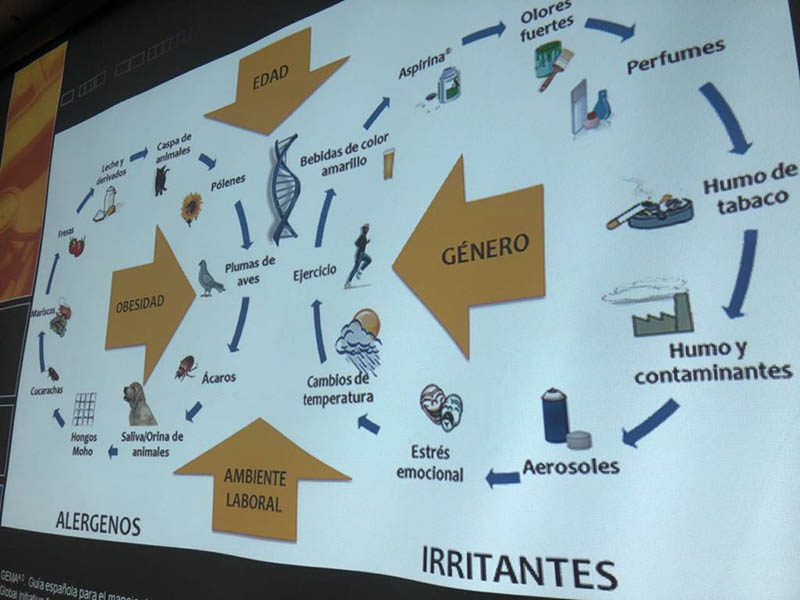 NOTICIAS TEZIUTLAN INFORMA: IMSS PUEBLA ATIENDE 10 CASOS DE ASMA AL DÍA