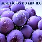 Maravilhosos benefícios da fruta mirtilo - Blog Doando Vida