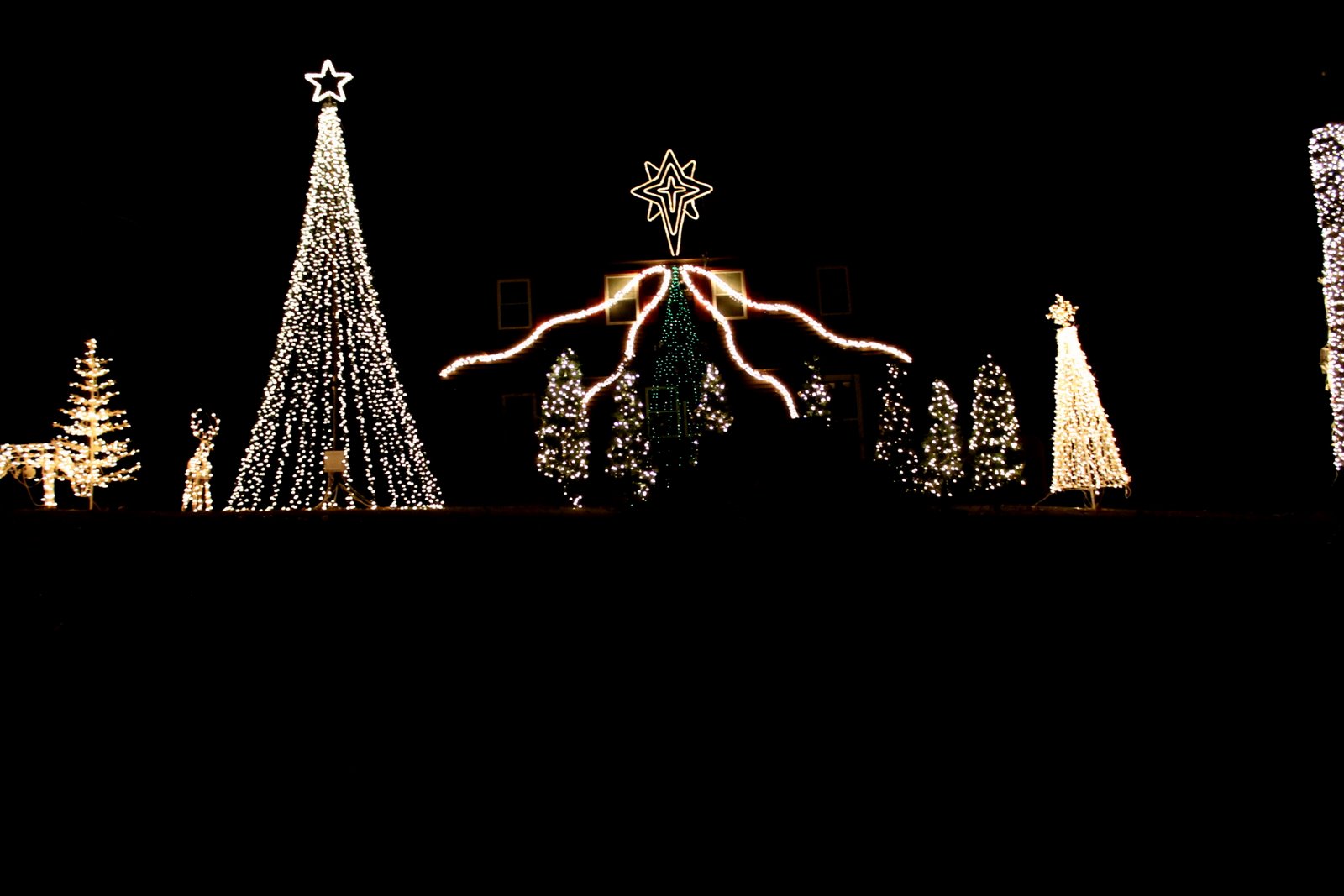 born imaginative.: Christmas Tradition: Norton Lights