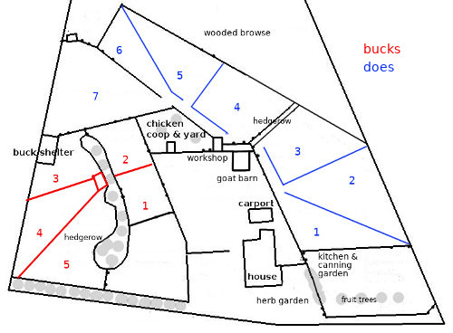 5 Acres & A Dream: Developing a Pasture Rotation Plan: Part 2