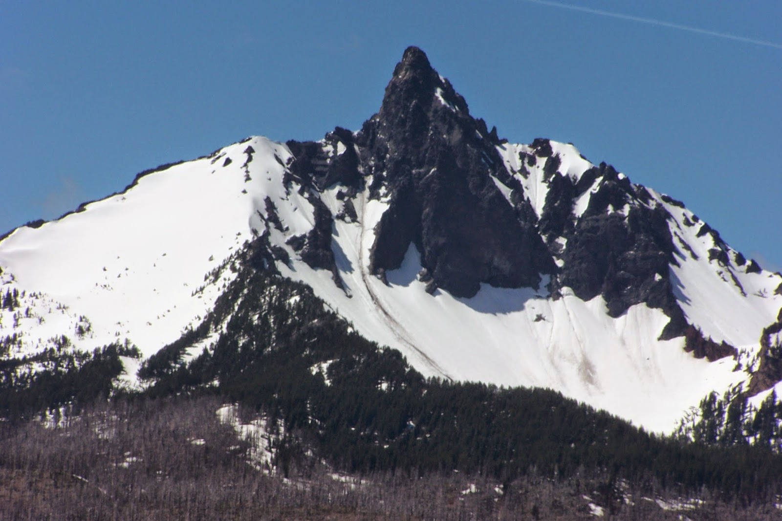 Oregon Cactus Blog: Snow-capped Peaks of the Oregon Cascades