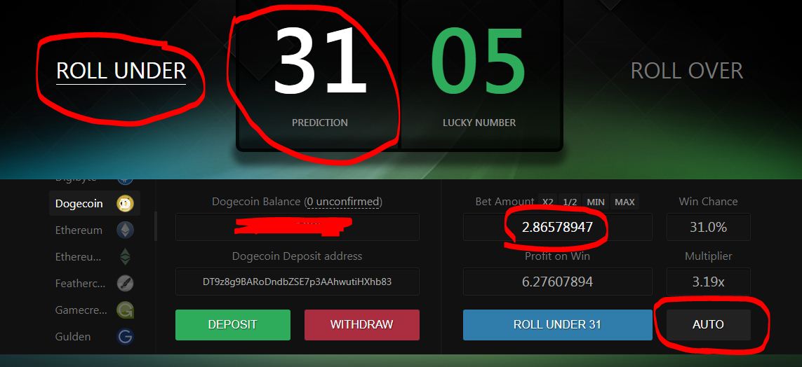 Dice Game DOGE Profit Every Minutes