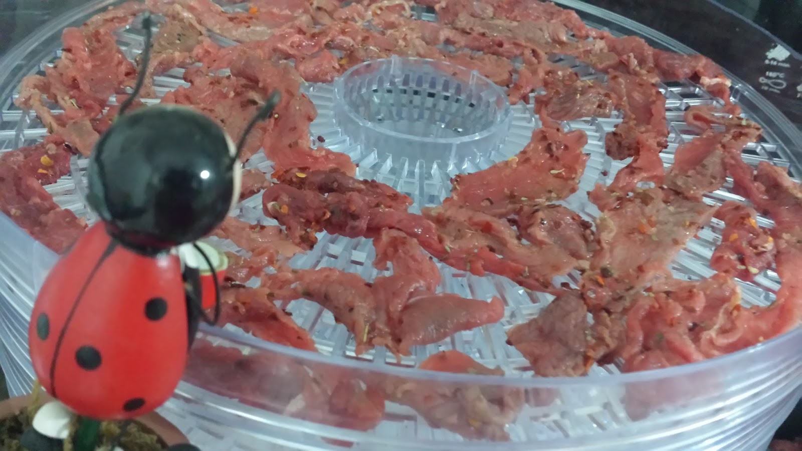 CARTOON LAGOON: Home Made Spicy Biltong (with Pictures) using Dehydrator