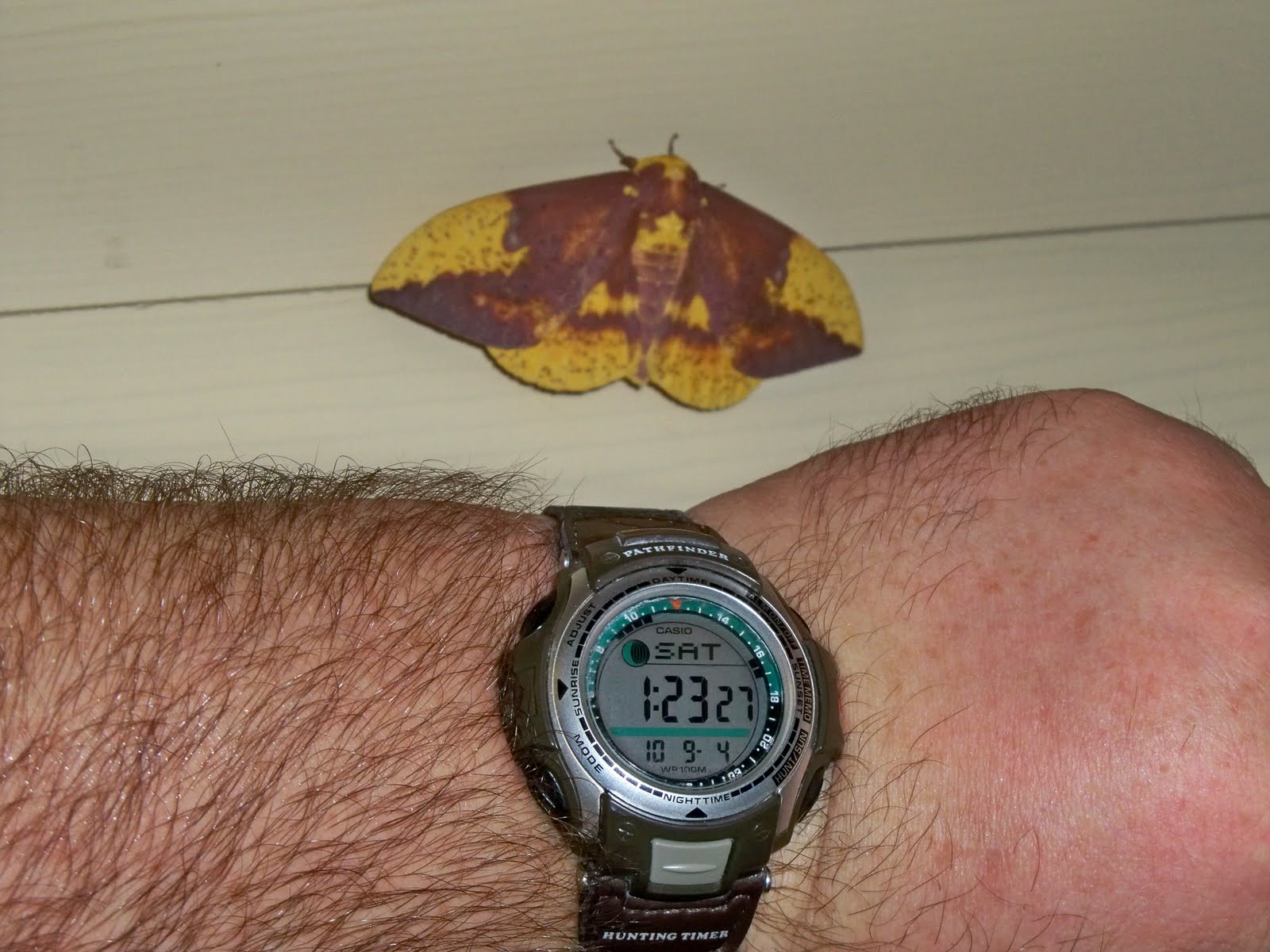 Casio Pathfinder Hunting Watch