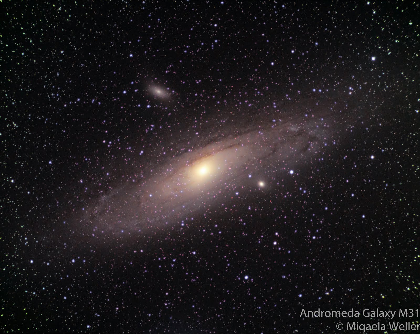 The AstronoMolly Log: #96 - Thursday, July 20, 2017 - Green Bank Star ...