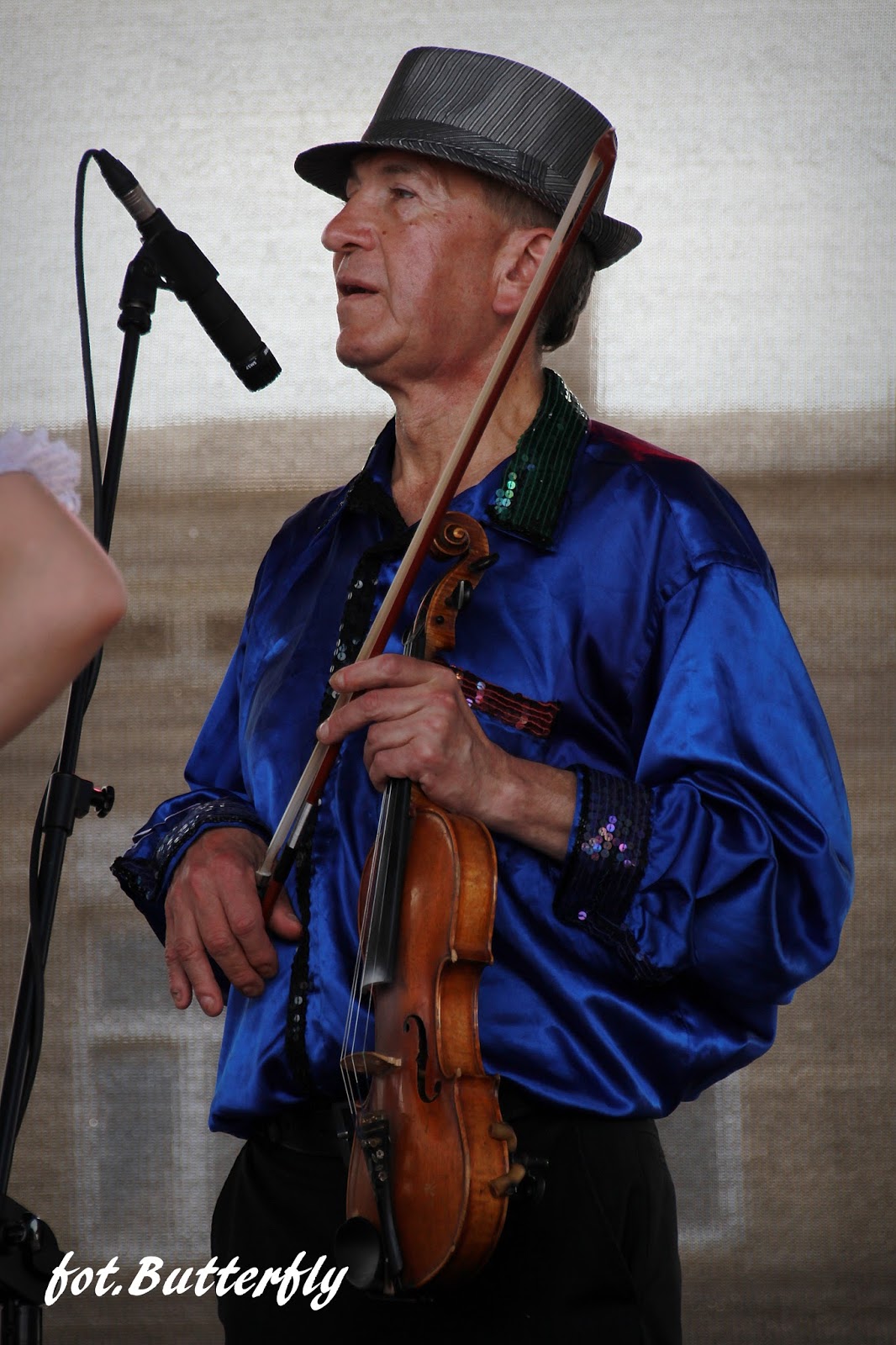 Foto Blue Butterfly: DON WASYL