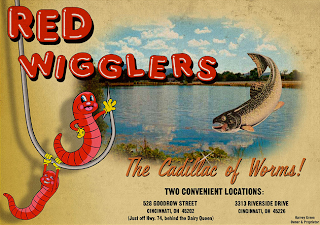 VernonBlog: "Red Wigglers — the Cadillac of worms!"