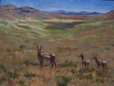 Daily Painters Of Colorado: "Antelope" Original Wildlife Antelope Oil ...