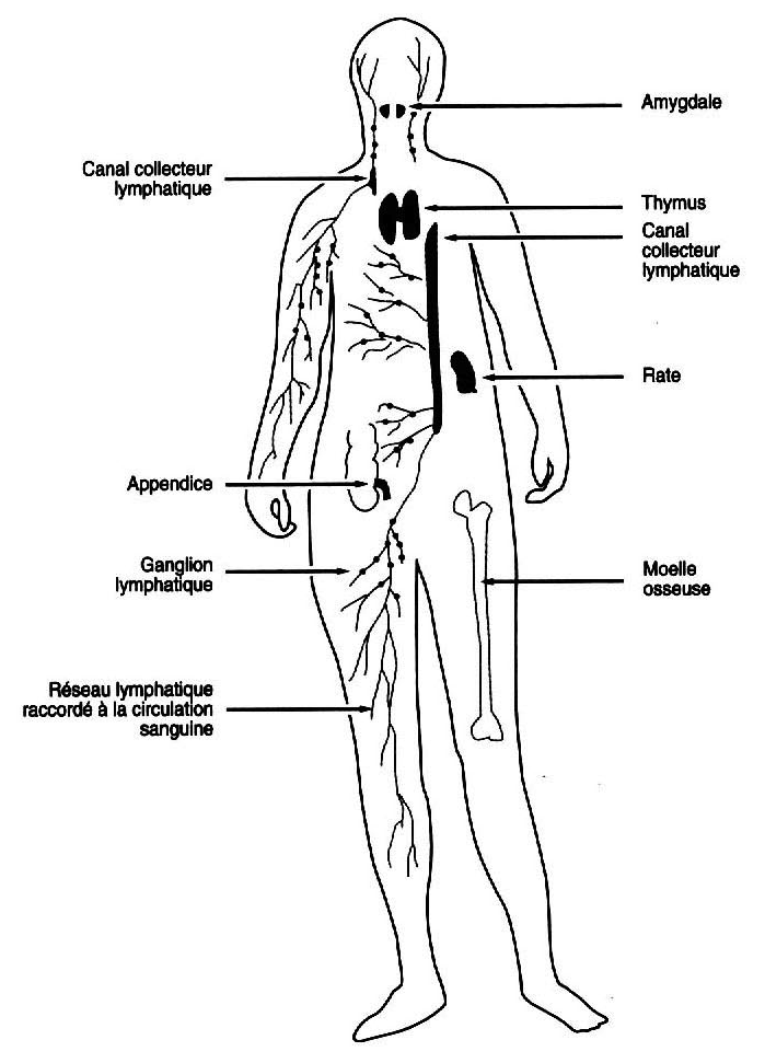 avril 2016 ~ S.V.T secondaire