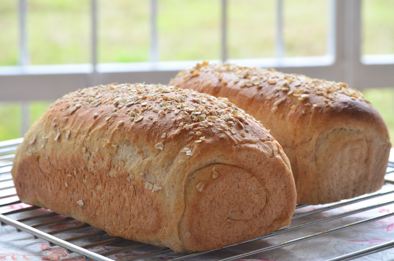 Wendy'S Small Small World: Wholesome Wholewheat Bread loaf (with ...
