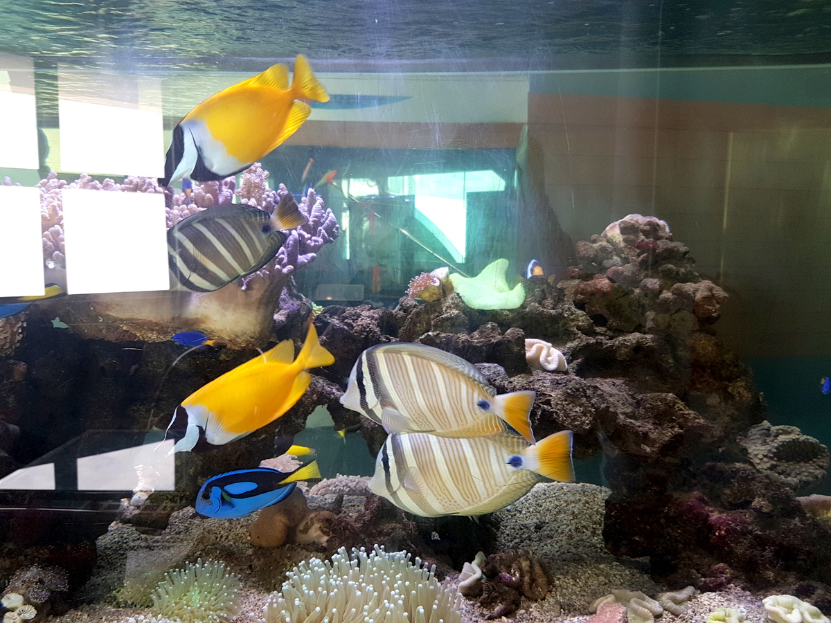 Travelholic: Labuan Marine Museum