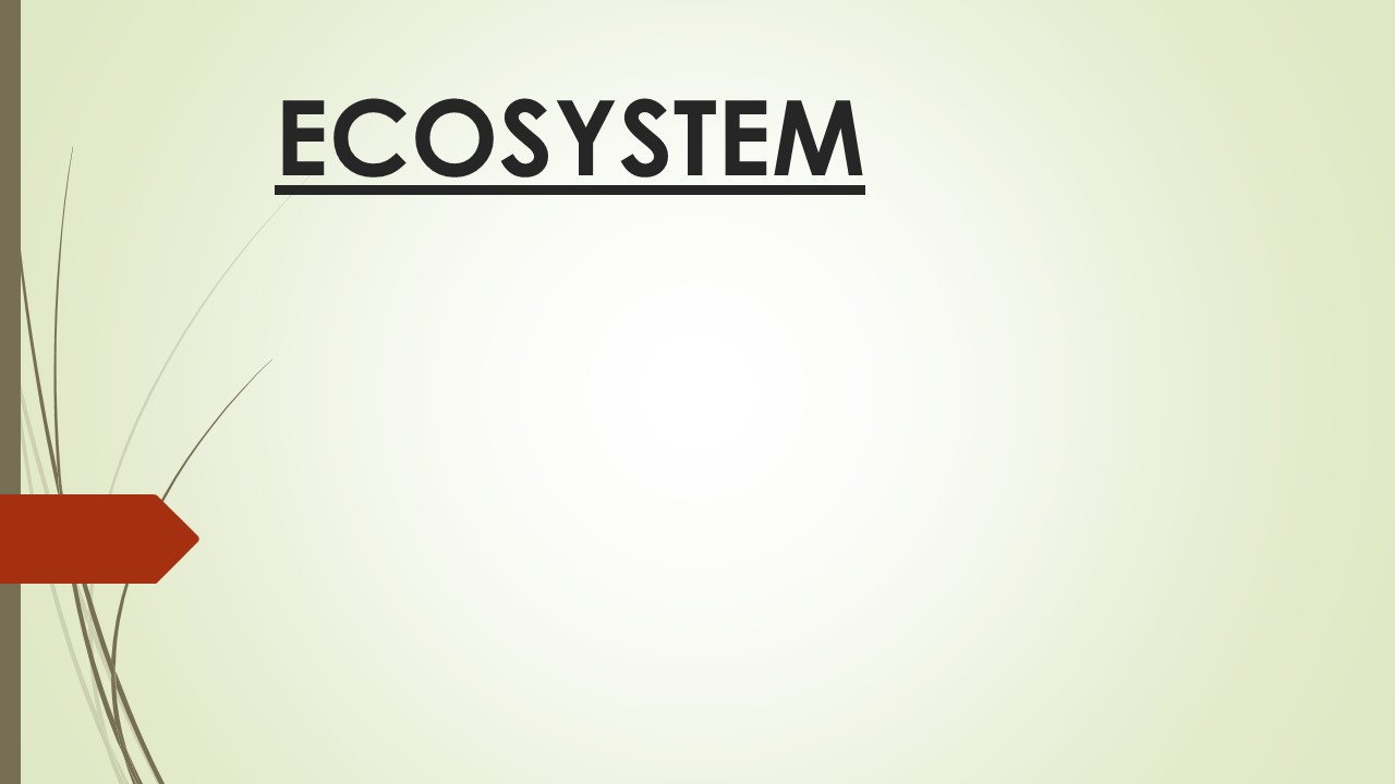 Ecosystem ~ Study Notes