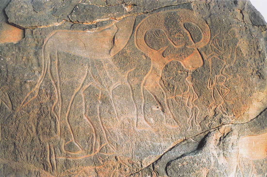 The Breeding-back Blog: The African aurochs