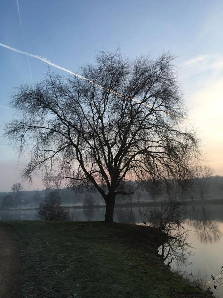 L'association Nature'L à Luisant: la beauté des paysages et la nature à ...