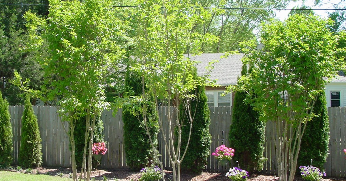 Tulsa Landscapers: Screening with plants...Tulsa