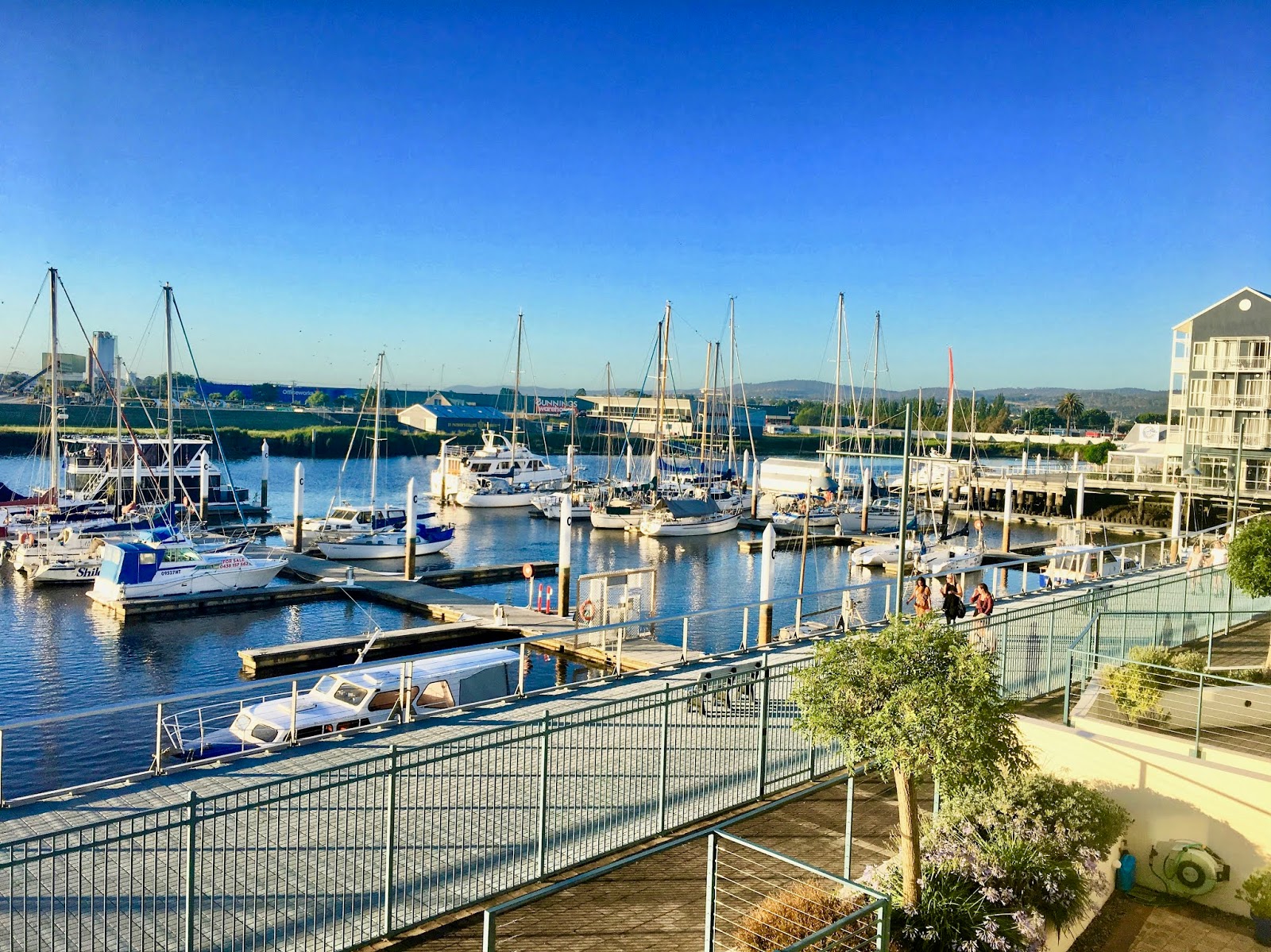 The Ravenous Duck: Launceston city guide