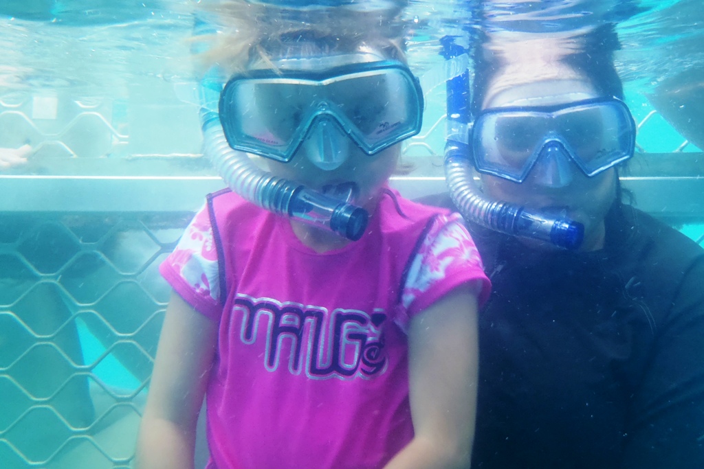 Cheney Caravan of Courage: Day 151. Derby to Ellendale Rest Area (150km ...