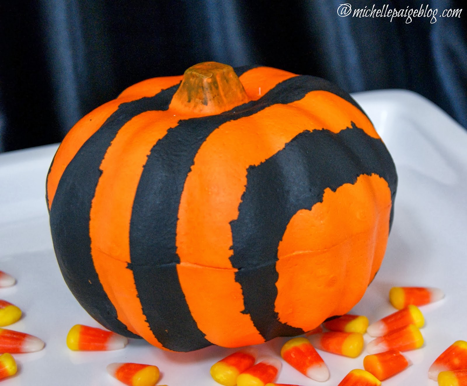 michelle paige blogs: Fast Striped Pumpkins