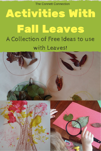 Activities to do with Real Leaves!