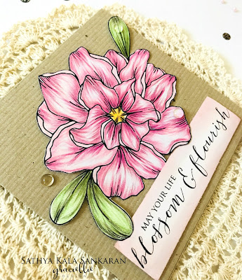 Paperie Expressions: Desert Rose : CAS Card