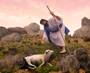 Daily Bible Reflections: “He will leave the other ninety-nine grazing ...
