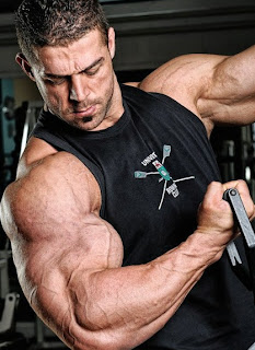 world bodybuilders pictures: syrian bodybuilder Feras Saied