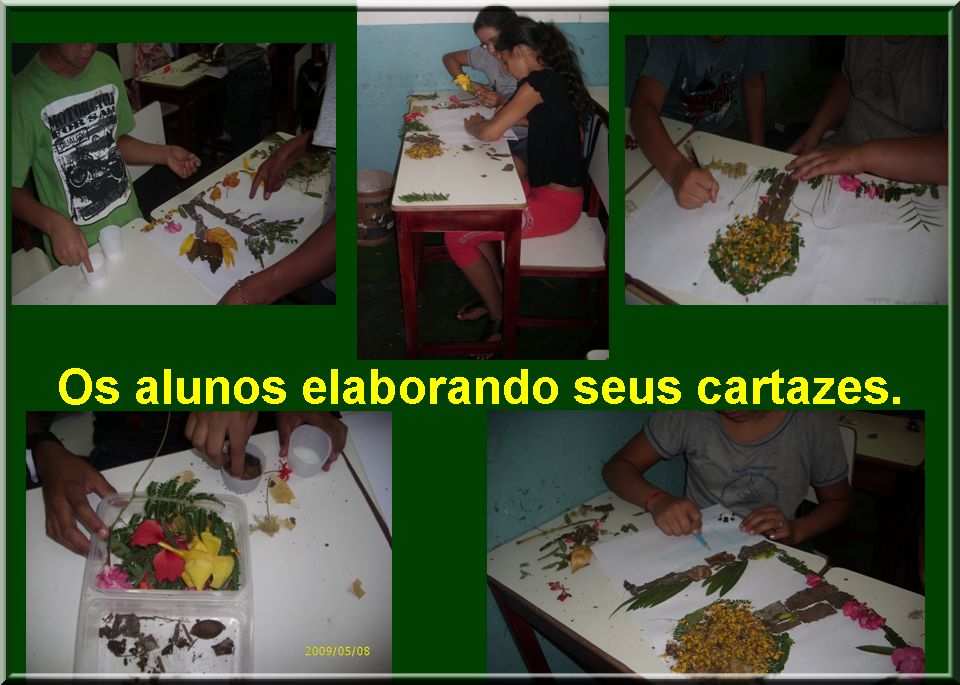 Biblioteca escolar do JK: Projeto dia da árvore no JK