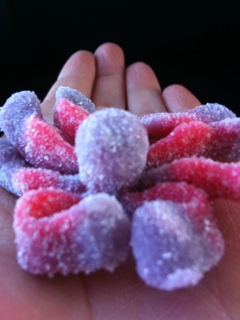 i just ate dinner: Trolli Sour Brite Octopus Gummi Candy