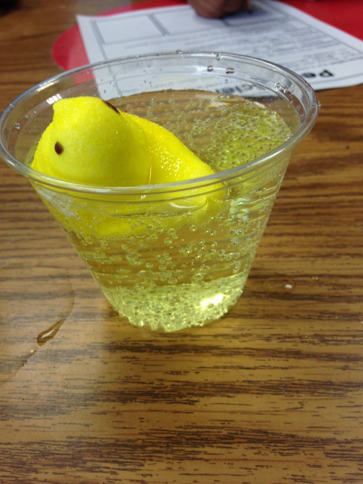 Ms. Winter's Wild West: Egg-Citing Science