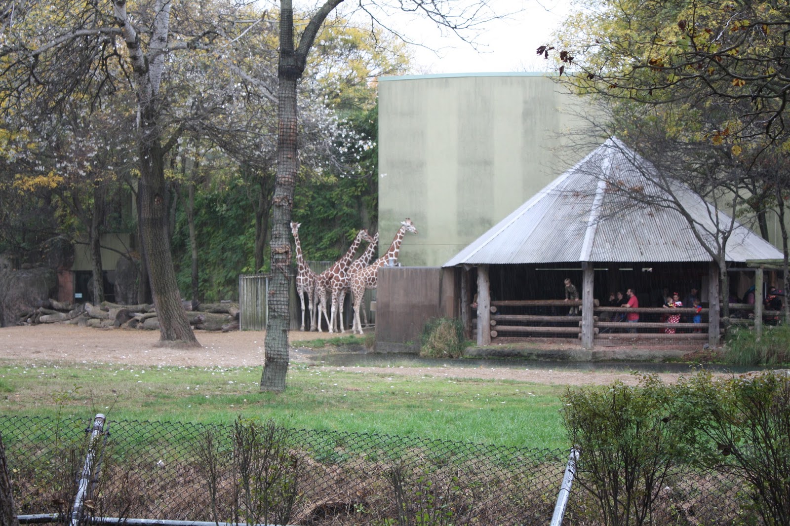 A Little Time and a Keyboard: A Bootiful Time at Boo! At The Zoo at ...