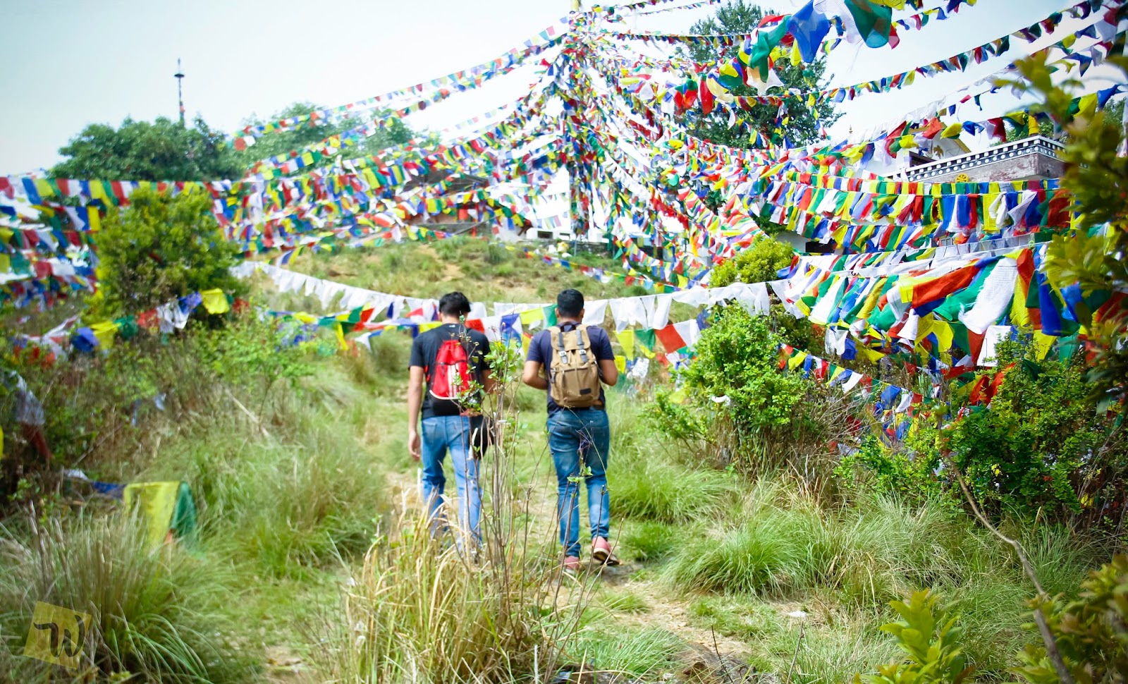 Hiking to Jamacho - Wondervibes
