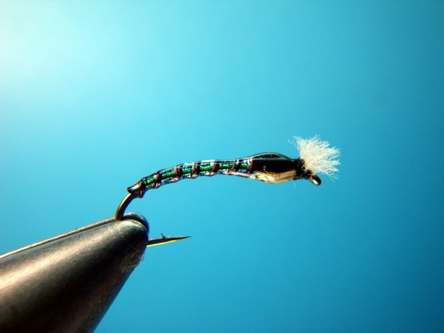 cp's fly fishing and fly tying: Electric Chironomid Fly Pattern