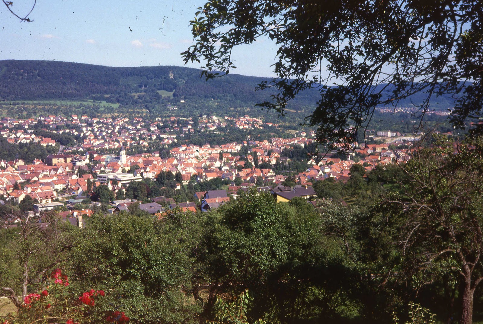 Pfullingen: Februar 2013