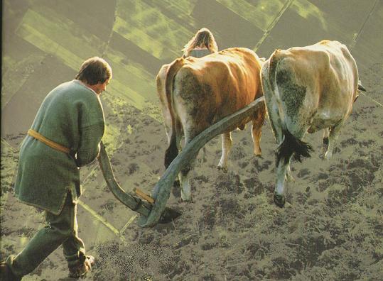 HET LEVEN IN DE IJZERTIJD: eergetouw