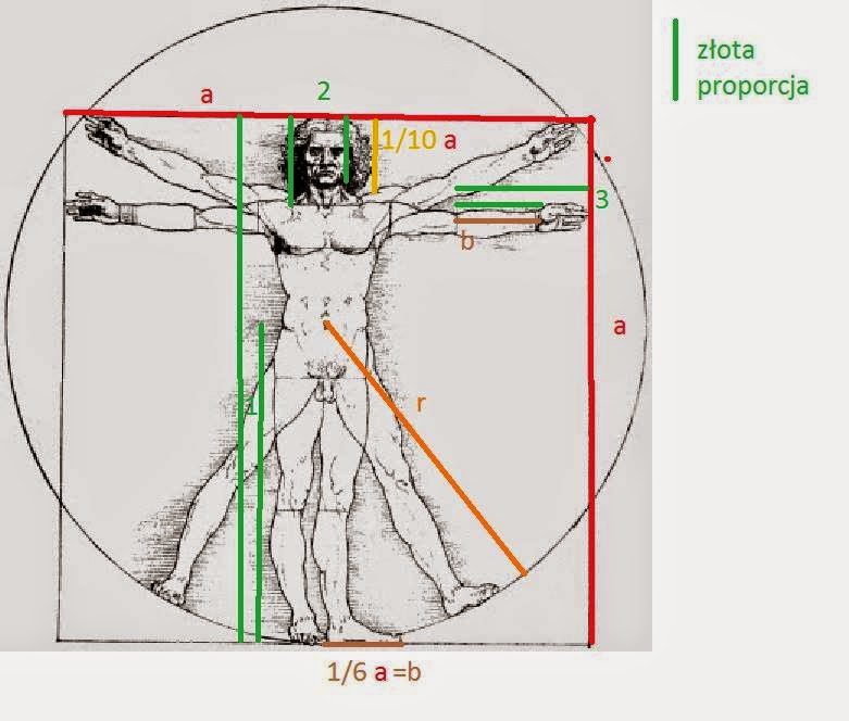 Gwiazdor Człowiek Witruwiański: Idealne proporcje zawarte w Szkicu