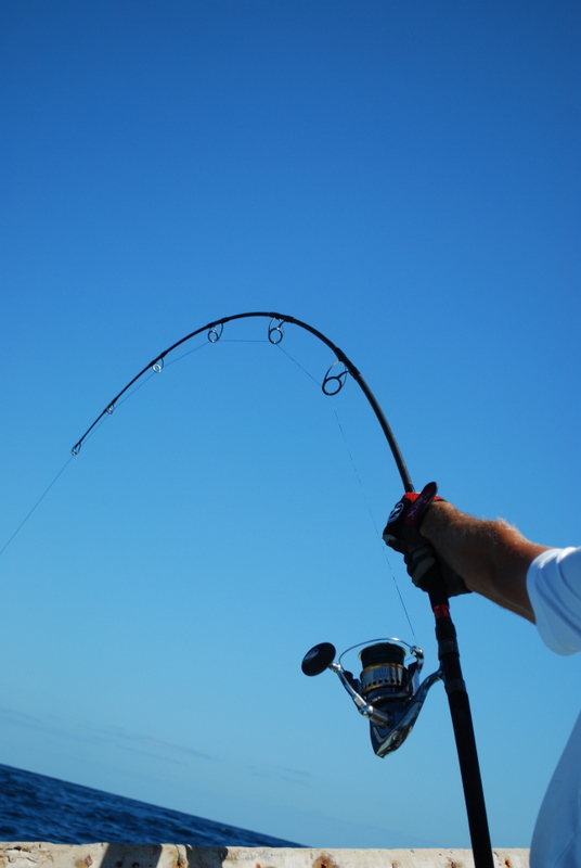 Wild Fishing Anglers: Help! Broken reels